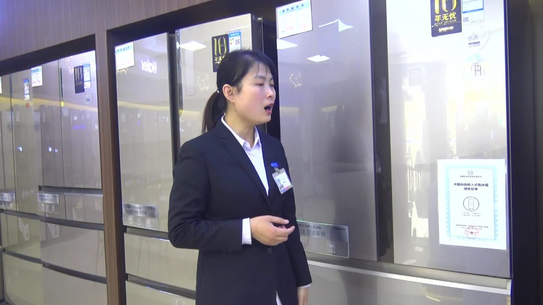 海尔专卖店“嵌入式冰箱”讲解——视频