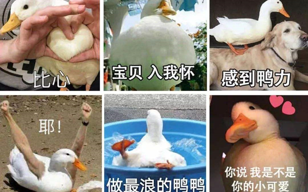 激动的心,颤抖的手,鼠标一抖,全没有。