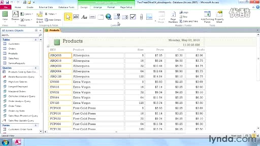 ACCESS基础教程08-1