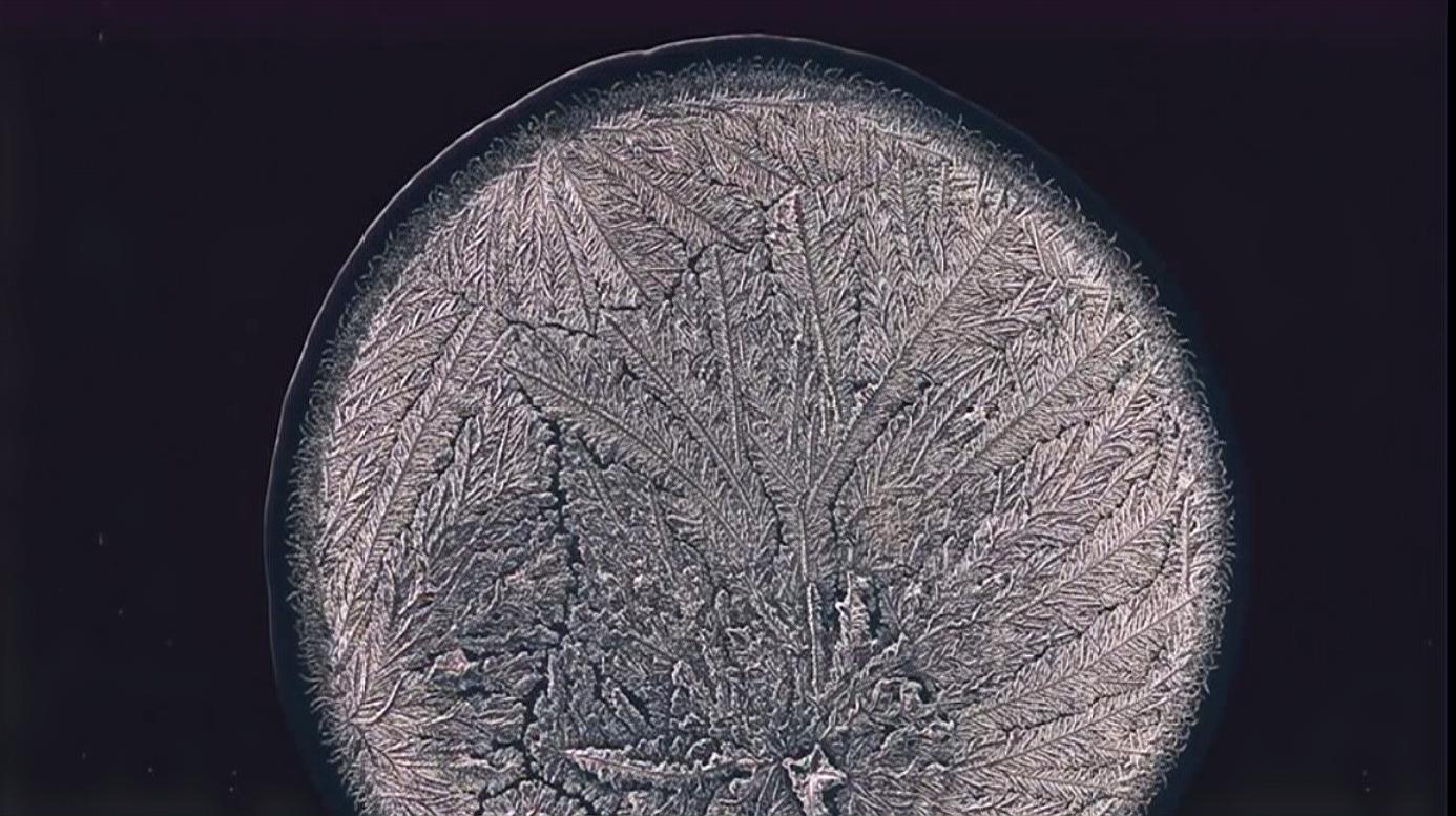 把眼泪放大200倍是什么样?老外用显微镜观察,看完不可思议!美