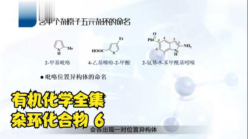 有机化学全集 杂环化合物 6