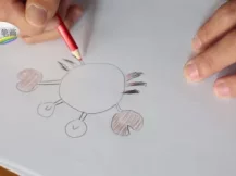 十分好学的螃蟹简笔画教程,简单几笔就能学会,跟我一起学吧