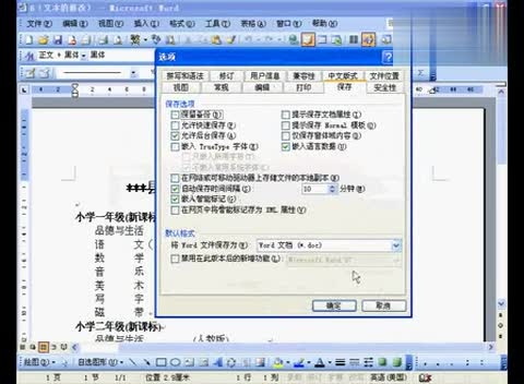 备份文件(word2003高级视频教程26)