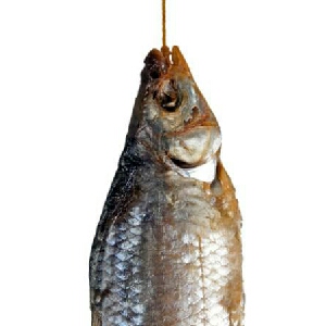 一条咸鱼而已233 