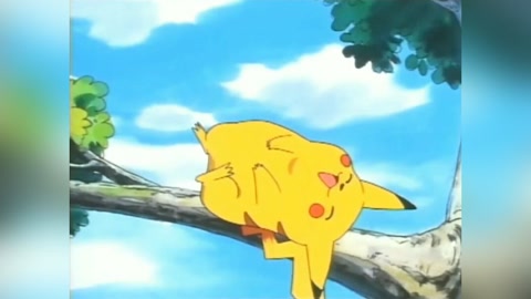 小智与皮卡丘的开始,不信任到信任