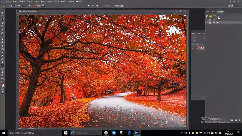 快速教你一个PS命令把秋天绿叶打造成红叶效果 简单好看
