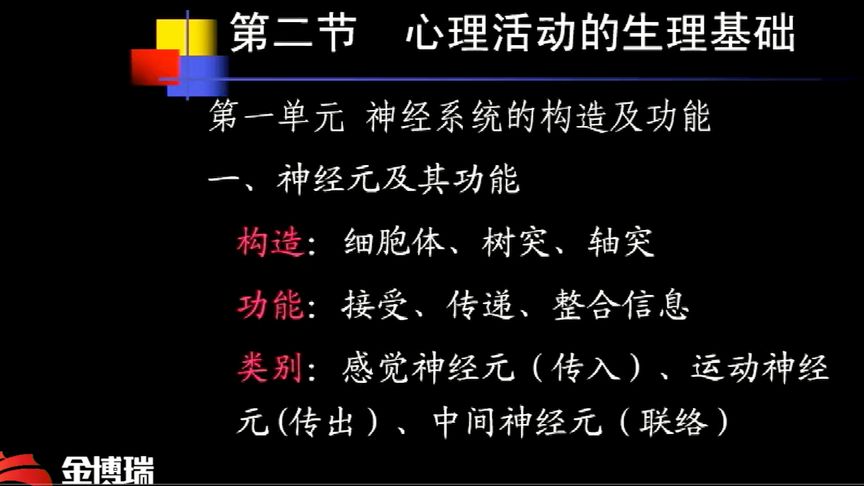 心理咨询师考试网络课程培训《基础知识》第一章生理基础考点精讲