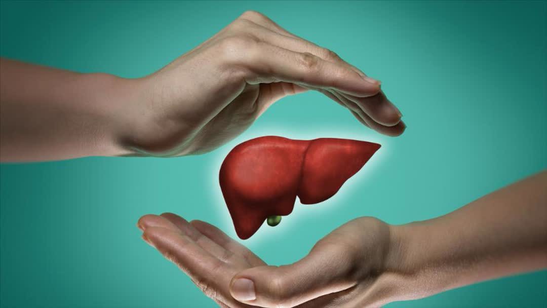 何首乌是“乌发神器”还是“肝脏杀手”?食用前建议了解