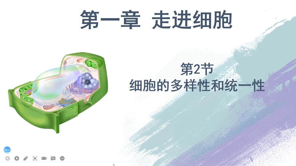 高一新人教版第一章第二节《细胞的多样性和统一性》