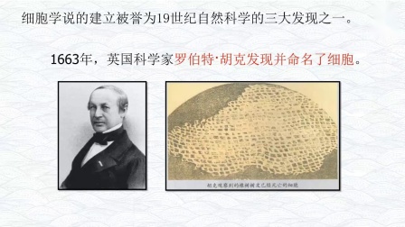 六下《用显微镜观察身边的生命世界(二)》.mp4