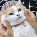 搞笑视频zhang 