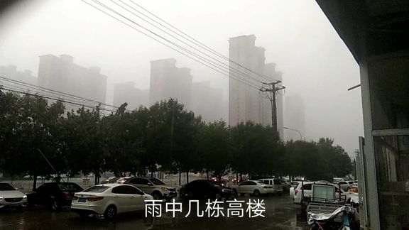 一年了,衡水终于迎来了一次彻底的透雨