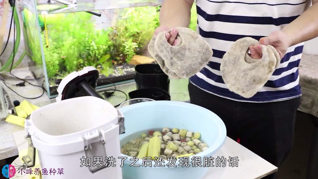 过滤器是鱼缸的“核心”,清洗也讲究技巧和方式