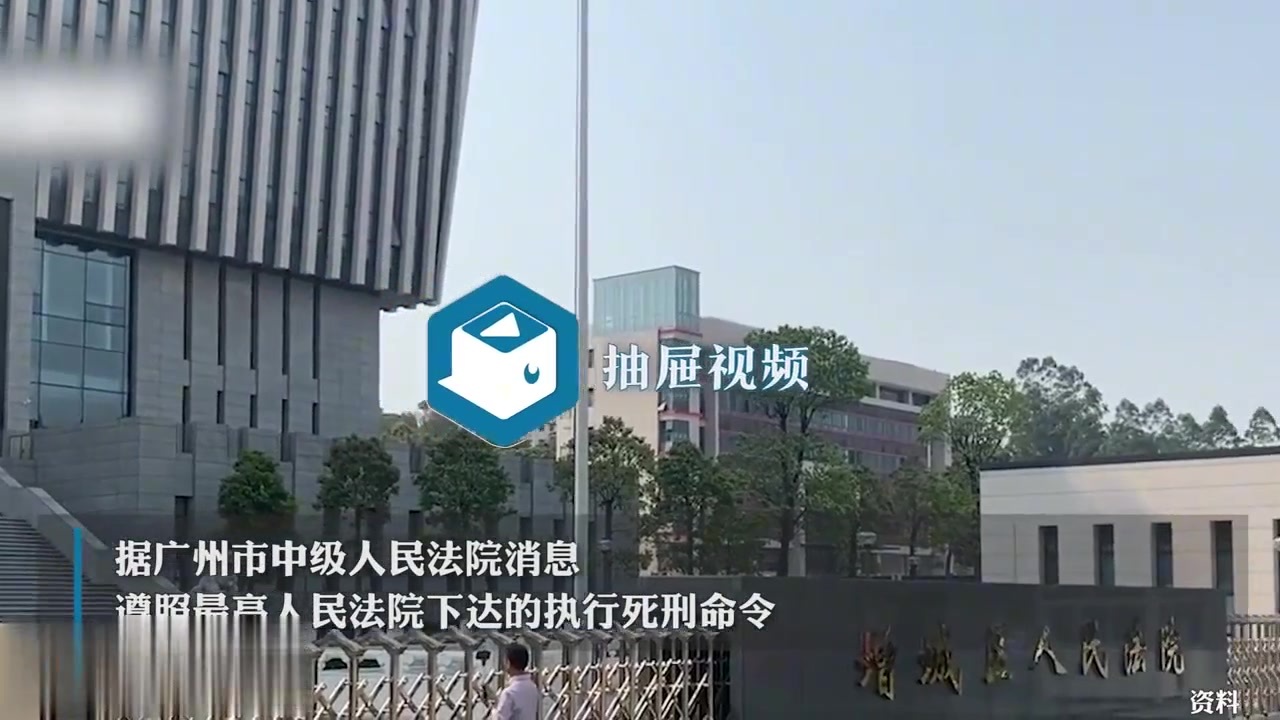 “梅姨”案两名人贩被执行死刑,曾拐走包括申聪在内的多名儿童