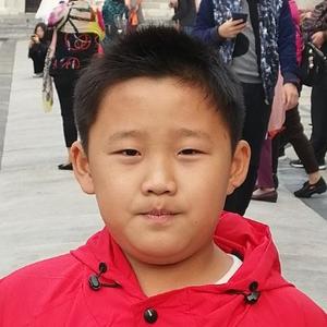 山东网新全媒体 