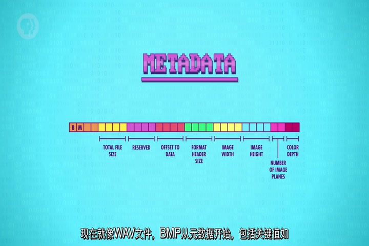 [10分钟速成课:计算机科学]文件和文件系统[Crash Course][中文字幕]