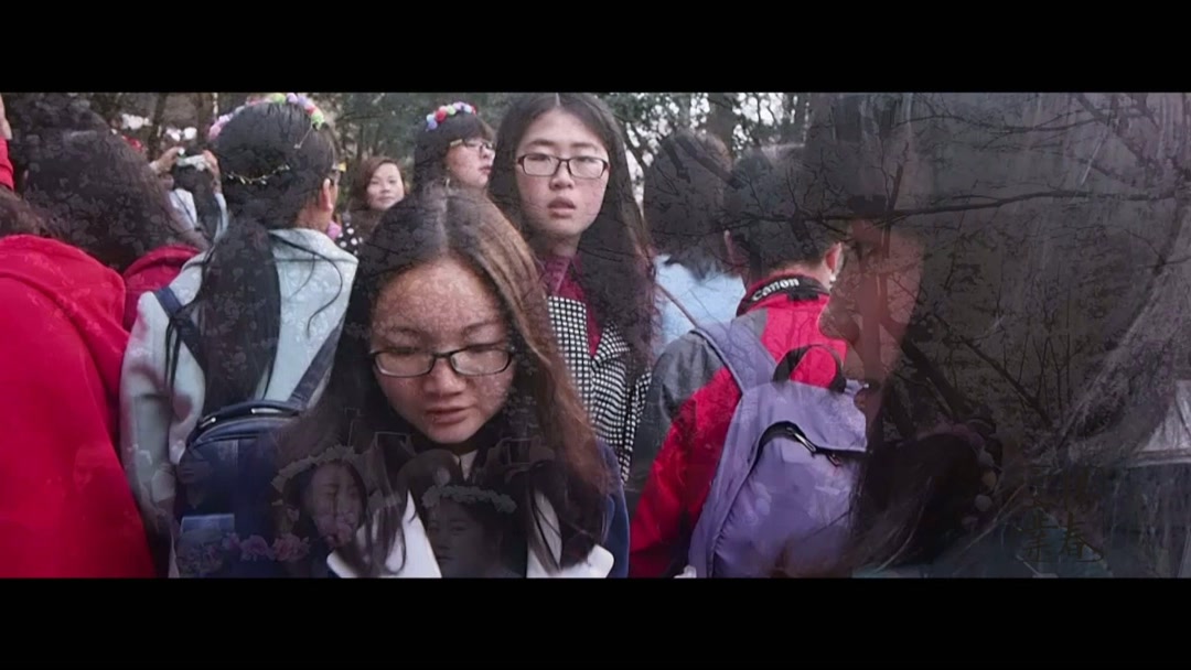 2015最美武汉大学樱花实况航拍