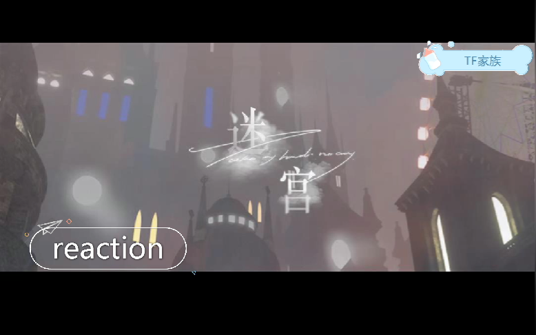 TF家族三代reaction—迷宫舞台reaction(上)