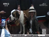 [综合]北京第二届国际冬季运动博览会开幕