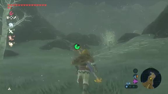 「大白」塞尔达传说旷野之息雪山奇遇记!高大杉树上的白鸟