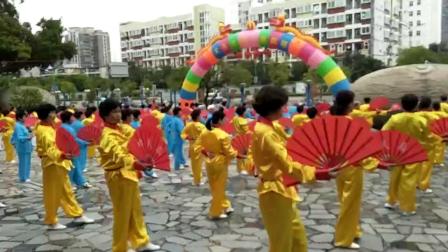 石码农口队九龙公园表演响扇