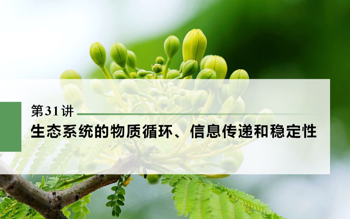 生态系统的物质循环、信息传递和稳定性 高三复习课