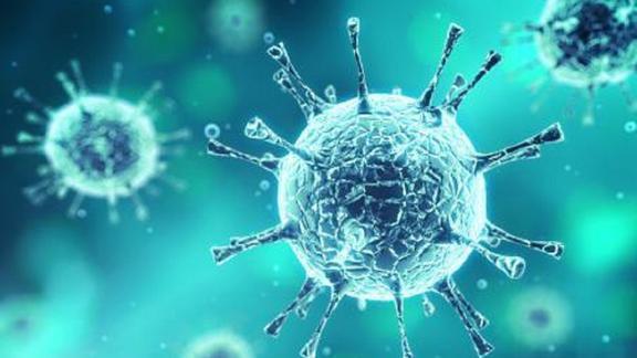 英国新研究:新冠病毒未来或出现抗原漂移,致死率最高可达35%