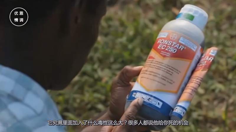 知道百草枯的毒性有多大吗?不小心服一口,会有什么样的后果?