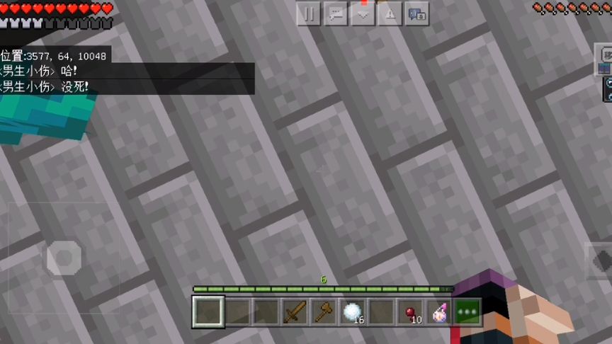 我的世界玩租服务器。