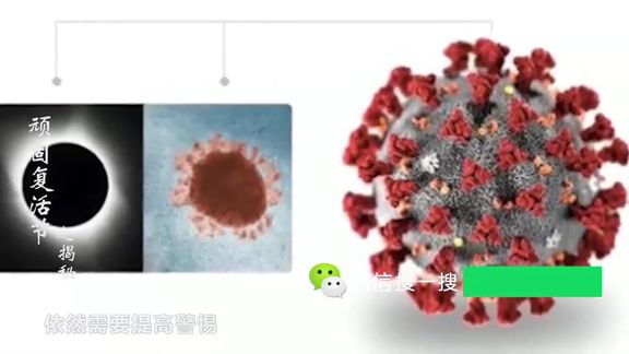]新型冠状病毒是什么?显微镜放大1000倍,看到图像不淡定