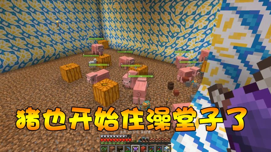 我的世界匠魂血月86:柚子一怒之下,把小甄的猪圈改成了澡堂子!