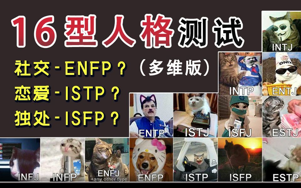 ...你究竟是哪种人格?在社交、恋爱、独处时分别是哪种MBTI人格类型?