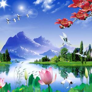 真哥教养花 