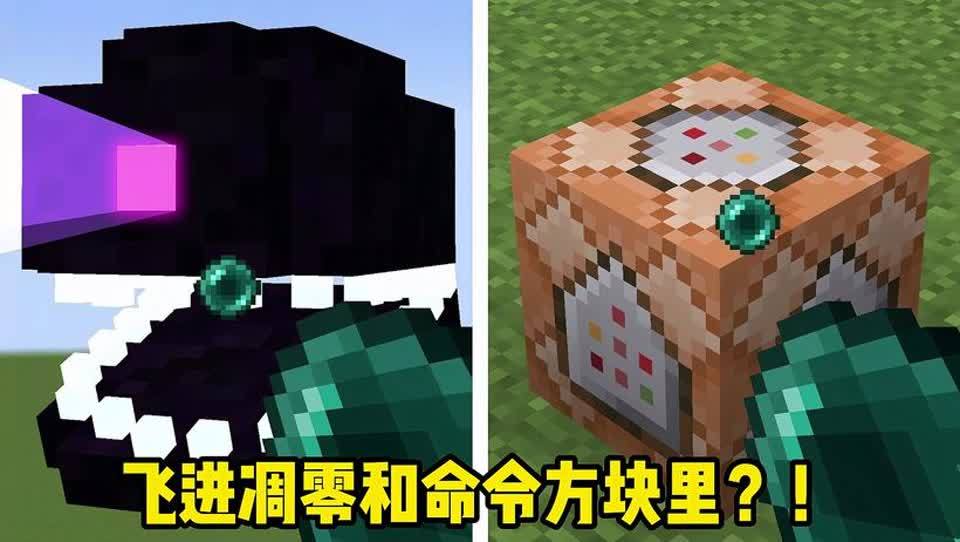 我的世界:凋零与命令方块里面有什么?