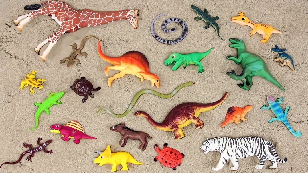 学习动物的名字和声音