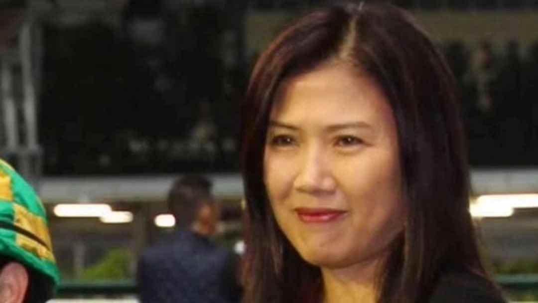 ...女富豪的狗感染新冠病毒!还或会波及周润发、甄子丹、郭富城等明星!