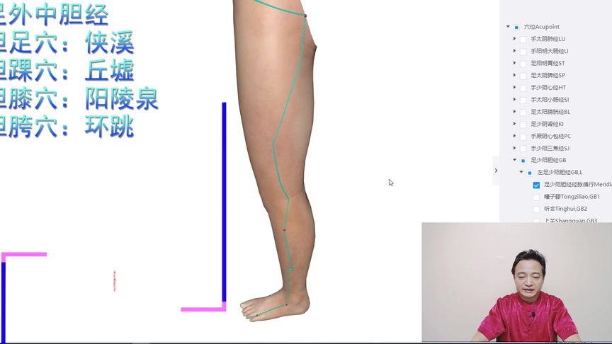 胆经的四个主要穴位