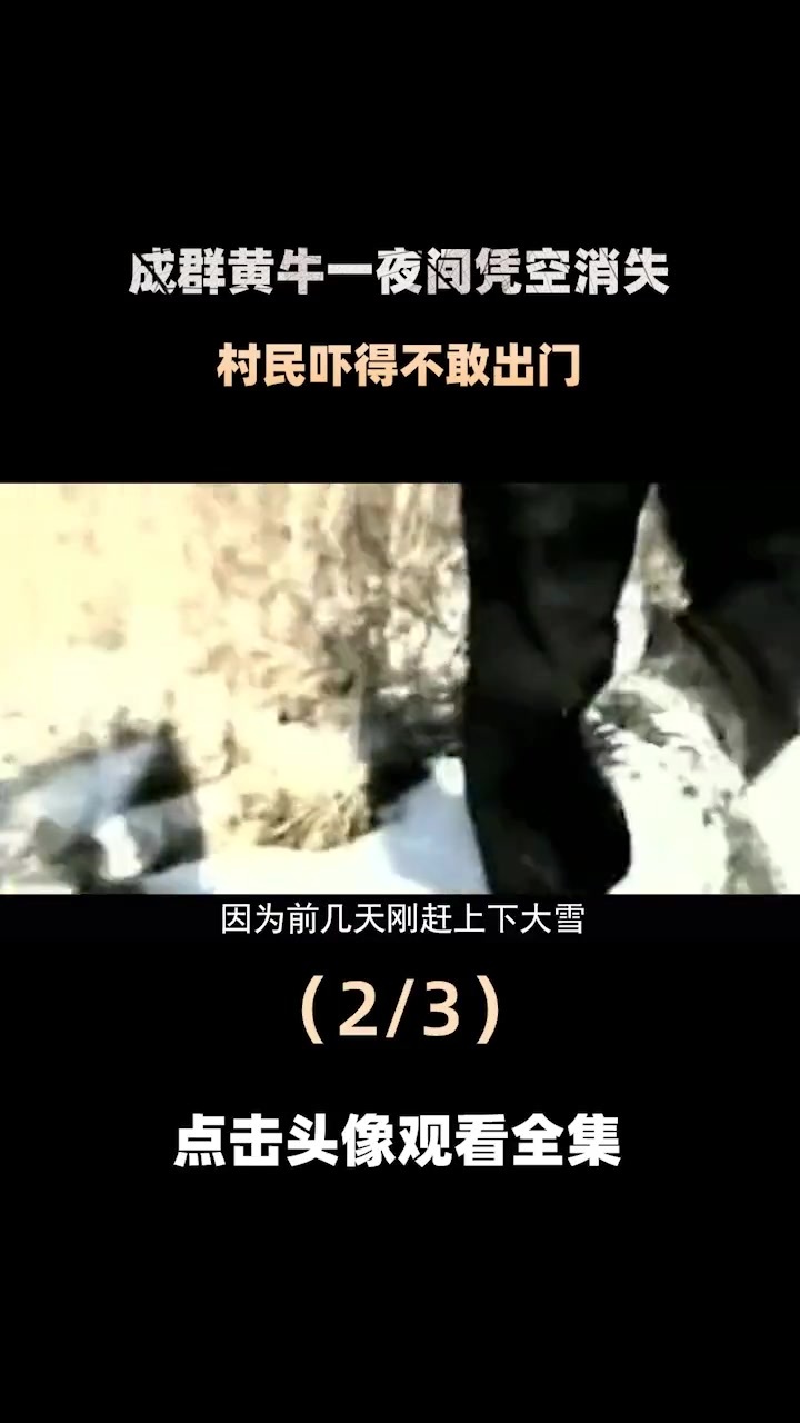 第2集|成群黄牛一夜间凭空消失,村民吓得不敢出门