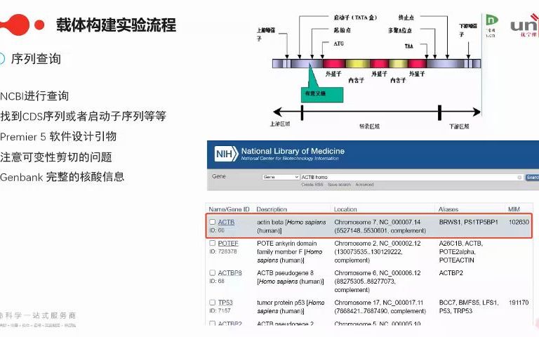 载体构建实验流程详解-序列查询