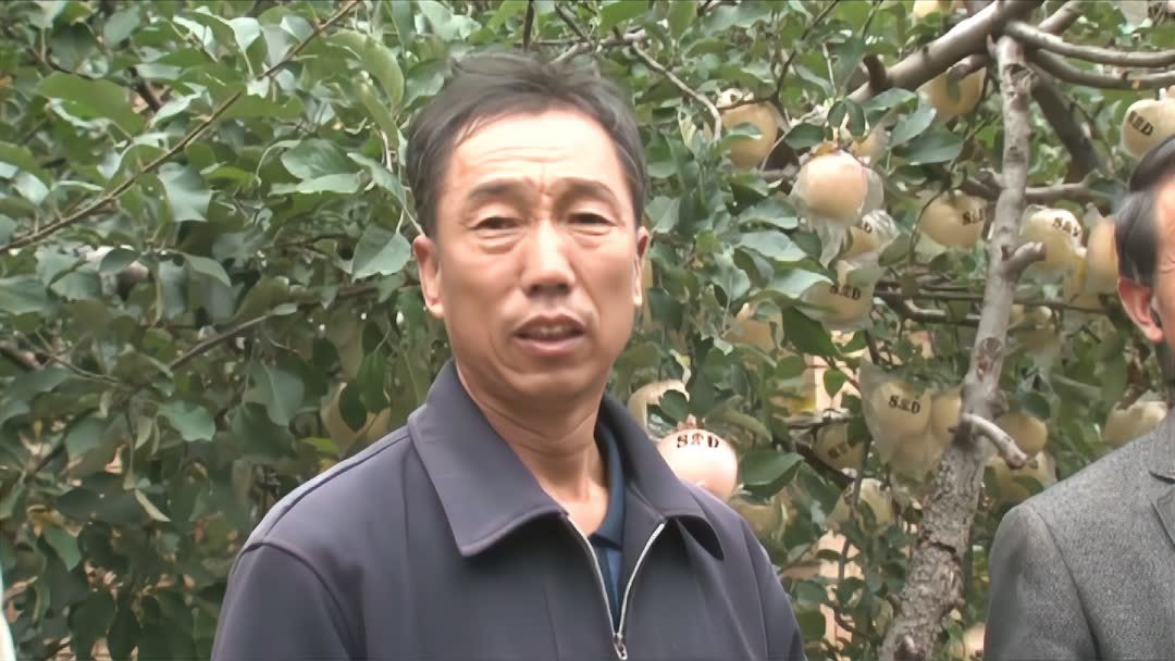 使用氨基酸产品效益倍增