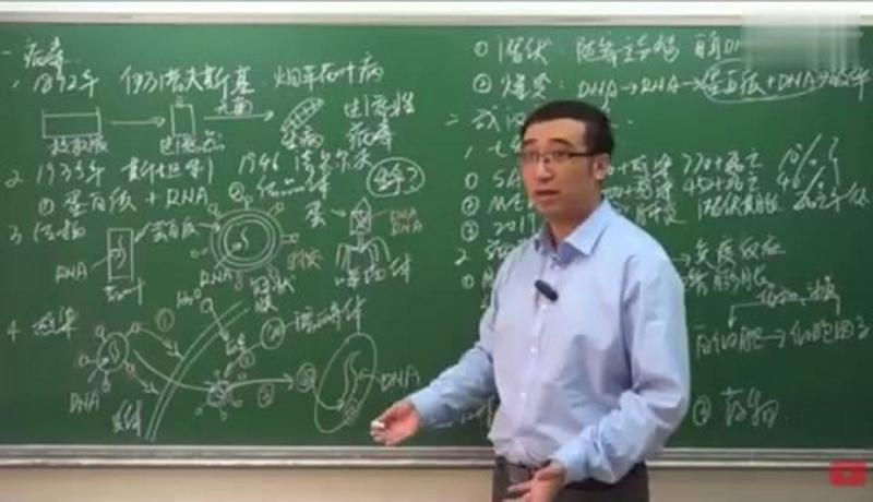 冠状病毒是什么