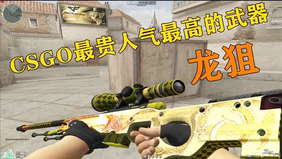 无道解说:手握CSGO里最贵,人气最高的武器"龙狙",太帅了!