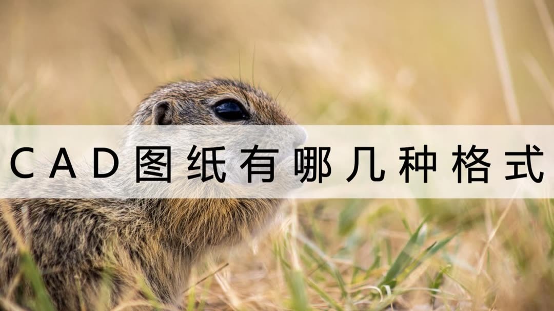 CAD图纸有哪几种格式?点击进来了解下