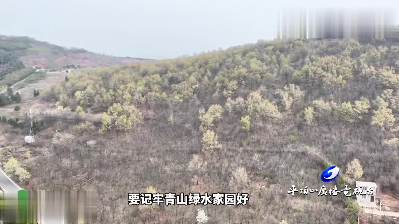 3月22日上午,市区北部山区森林防火集中宣传活动在新华区举行。
