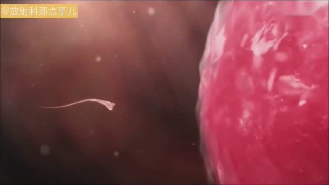 生动有趣的科普动画《生命的诞生》,每个生命都值得尊重