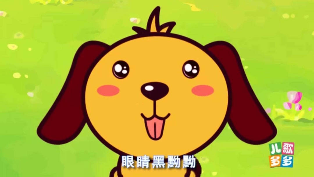 儿歌多多:一只哈巴狗