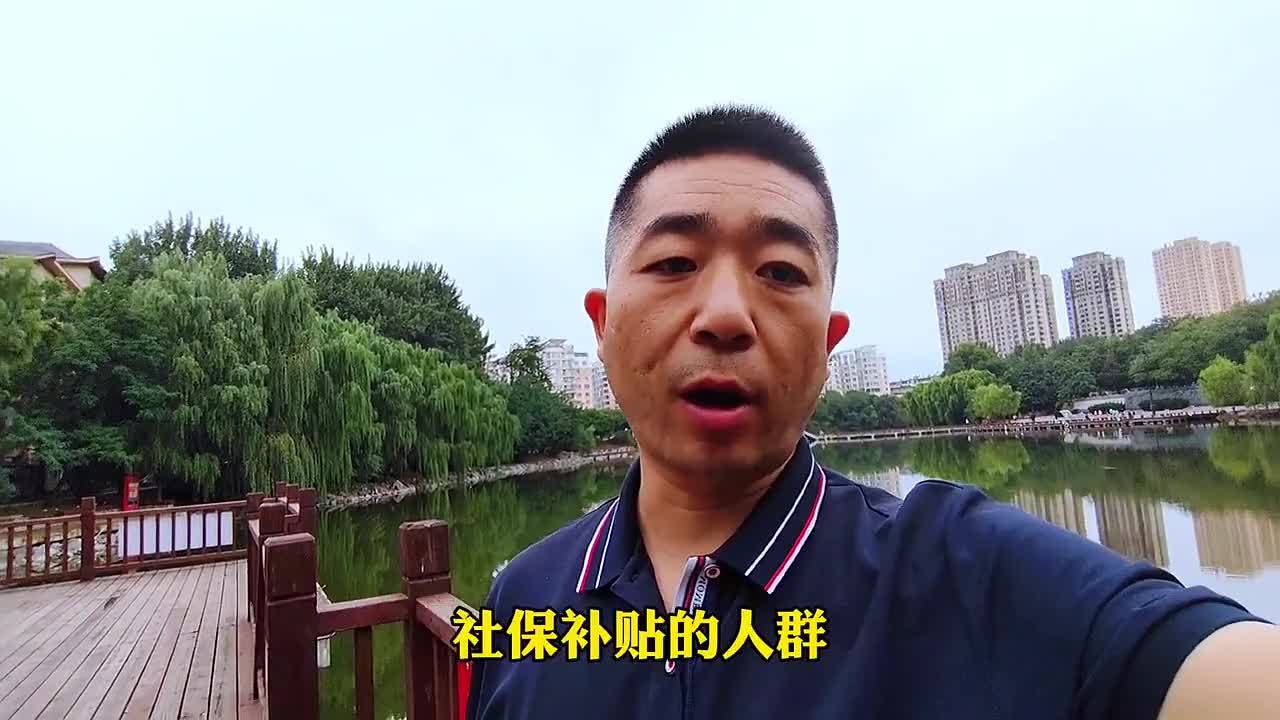 ...教你不用去税务部门自己怎么网上下载#社保补贴 #养老保险 #医疗保险