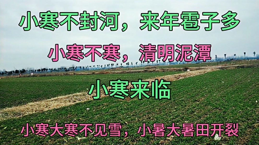 今年春节还会冷吗?雨雪多吗?年景如何?看小寒天气变化就能知道