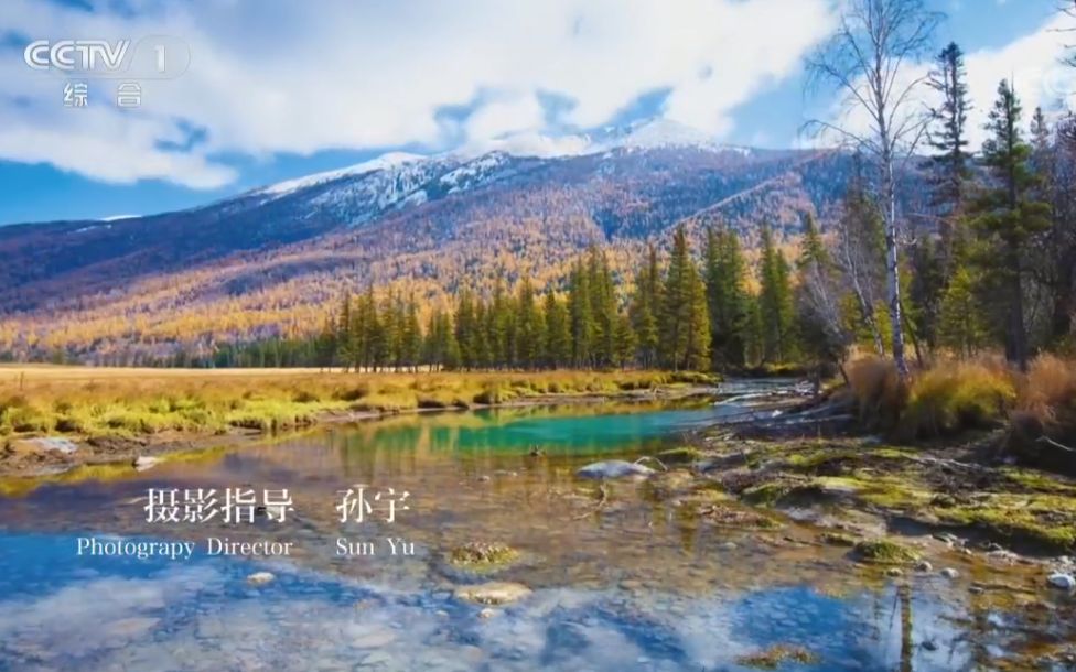 【央视】最美!《天山脚下》宣传片短版