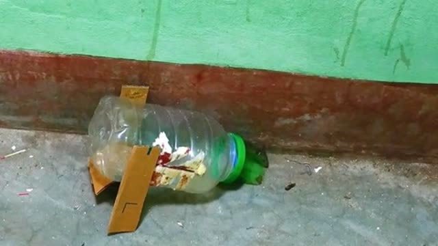 动动手就能制作捕鼠器,诀窍全在瓶盖上,学会能省不少钱